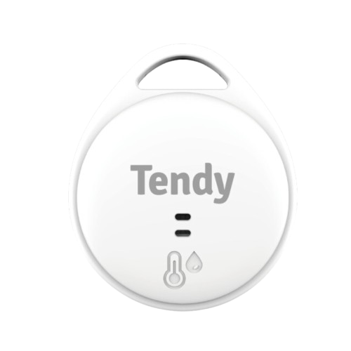 Tendy - Nemus mörningstimer